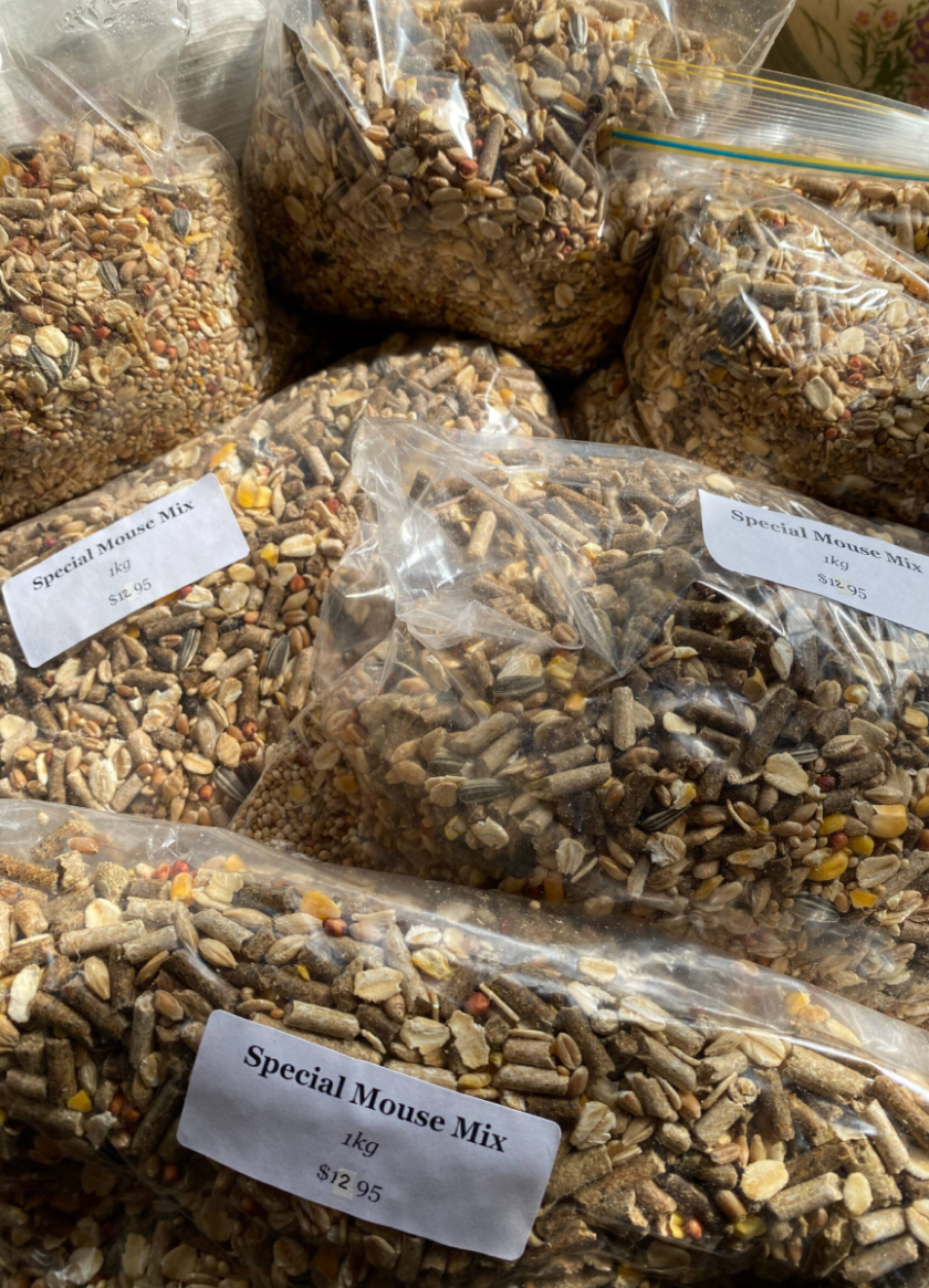 Special Mouse mix 500gms – Mouse House
