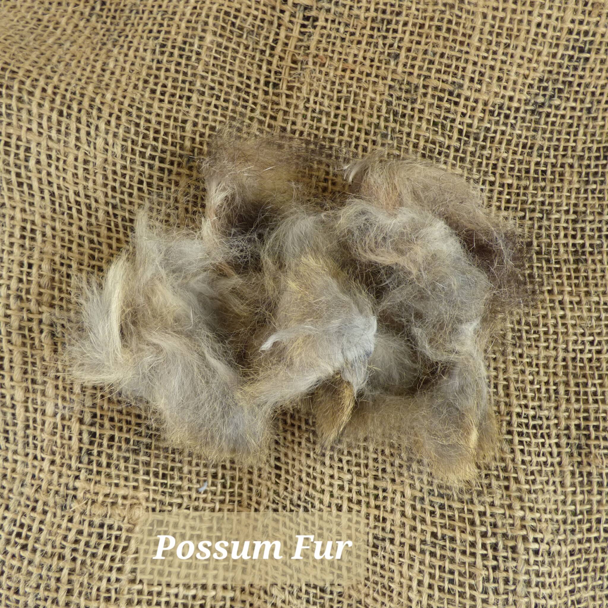 Possum Fur for Mice and Rats – Mouse House