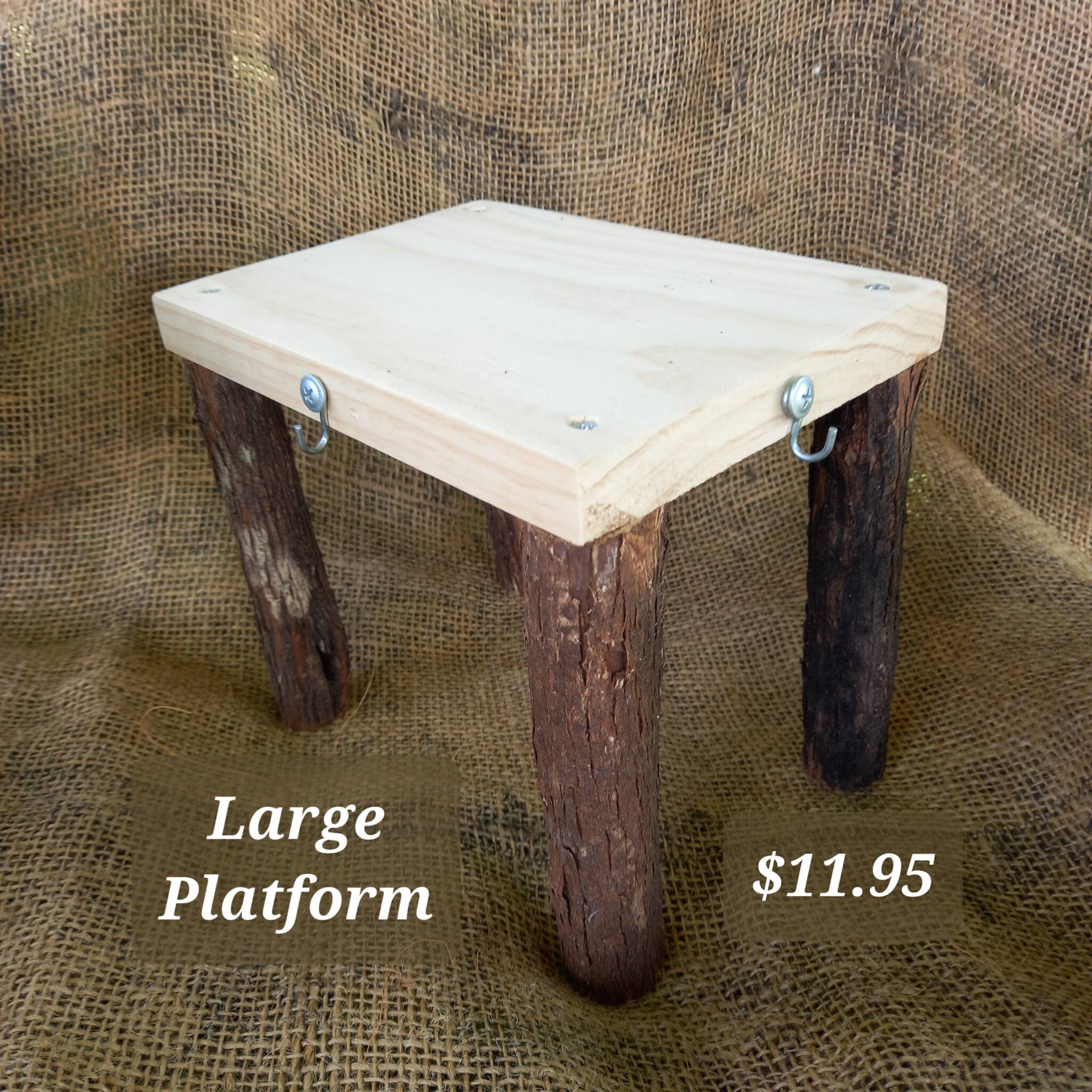 Large Platform – Mouse House
